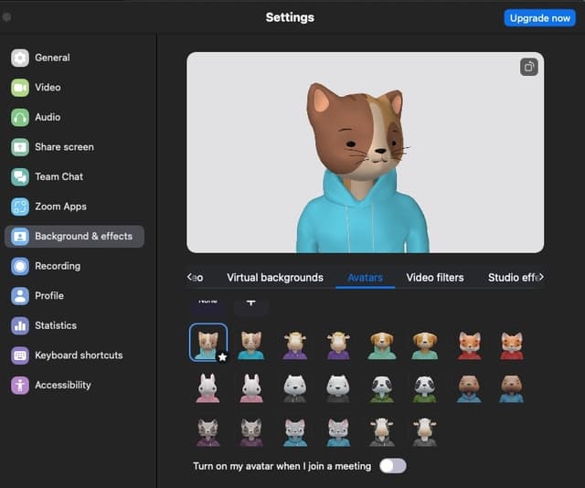 Camera Filters for Zoom: A Complete Guide | Filteronme